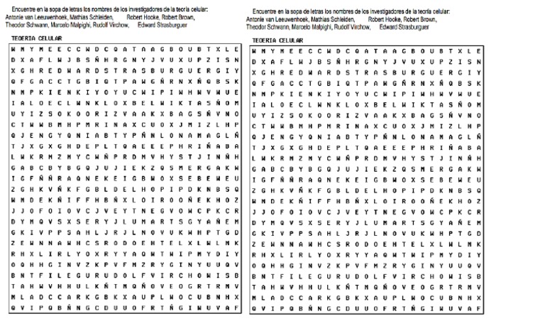 Sopa de Letras Teoria Celular | PDF