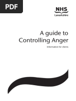 Anger Assessment Questionnaire | PDF | Anger