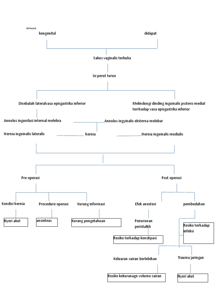 Pathway dan Penanganan Hernia | PDF