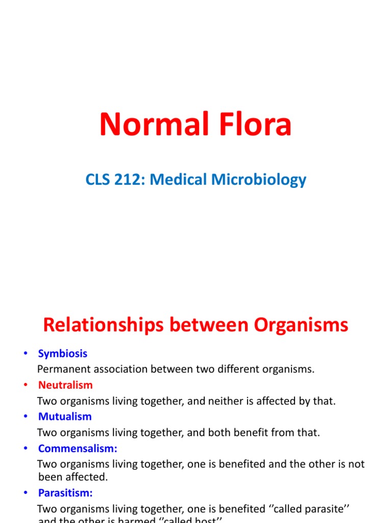 Normal Flora: CLS 212: Medical Microbiology | PDF | Gastrointestinal ...