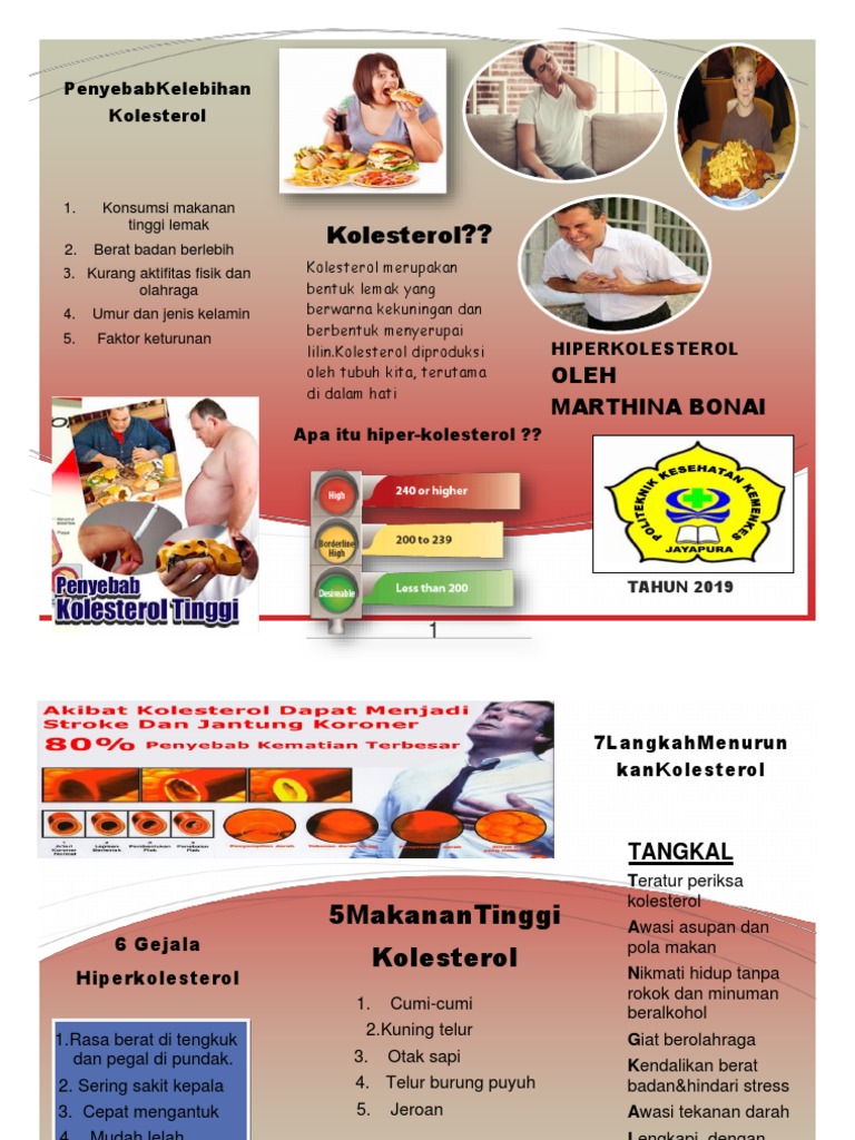 Leaflet Kolesterol | PDF