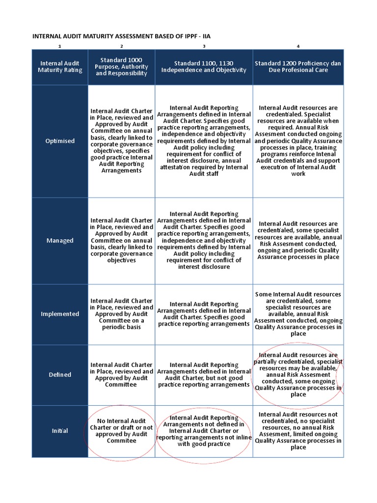 Maturity of Internal Audit | PDF | Internal Audit | Audit