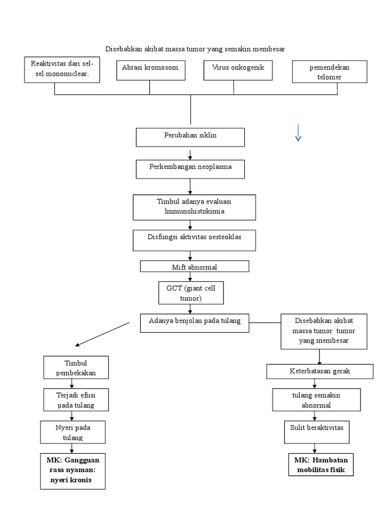 Woc Tumor Sel Raksasa Fitri | PDF