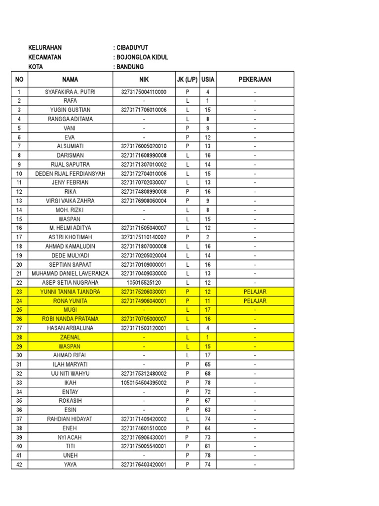 Data PMKS Kelurahan Cibaduyut | PDF
