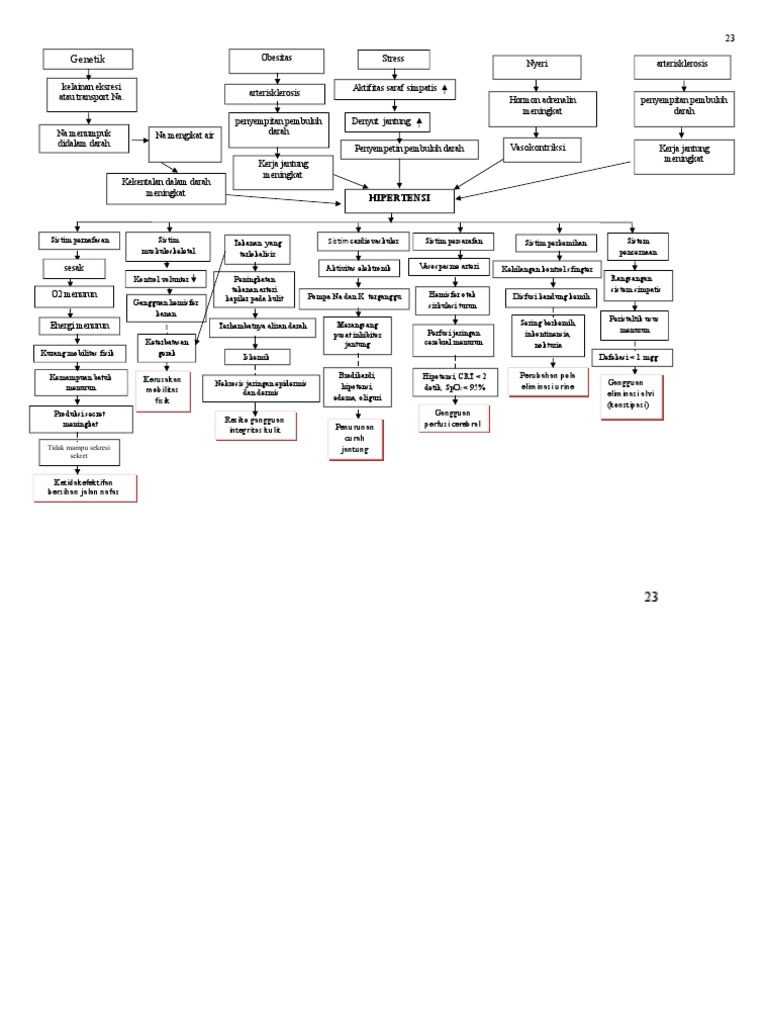 B1-B6 HT Fix Woc | PDF