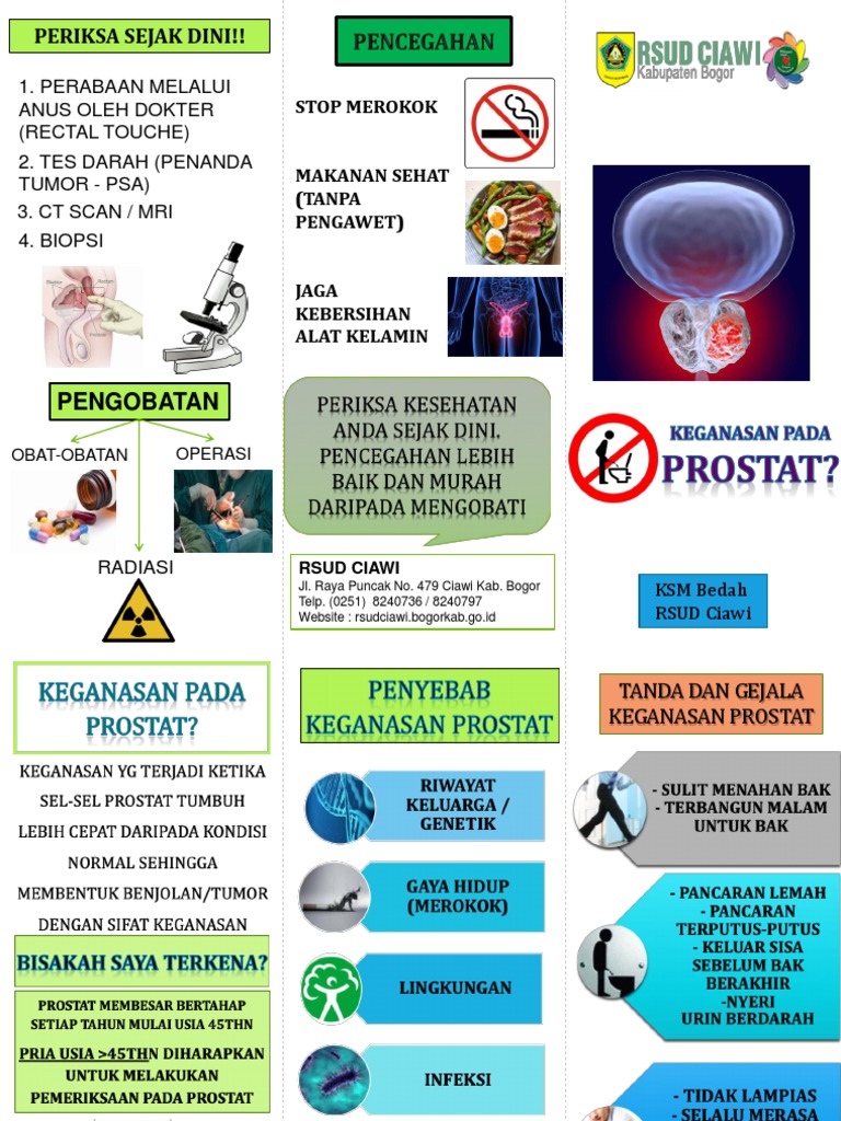 LEAFLET Tumor Prostat | PDF