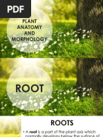 Pigeon Genetics: Answer Key | PDF | Dominance (Genetics) | Genotype