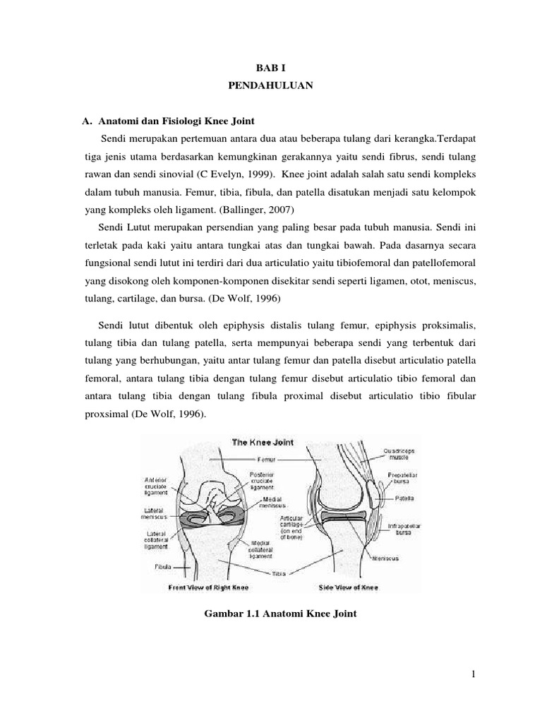 Lapsus OA Knee Bilateral | PDF