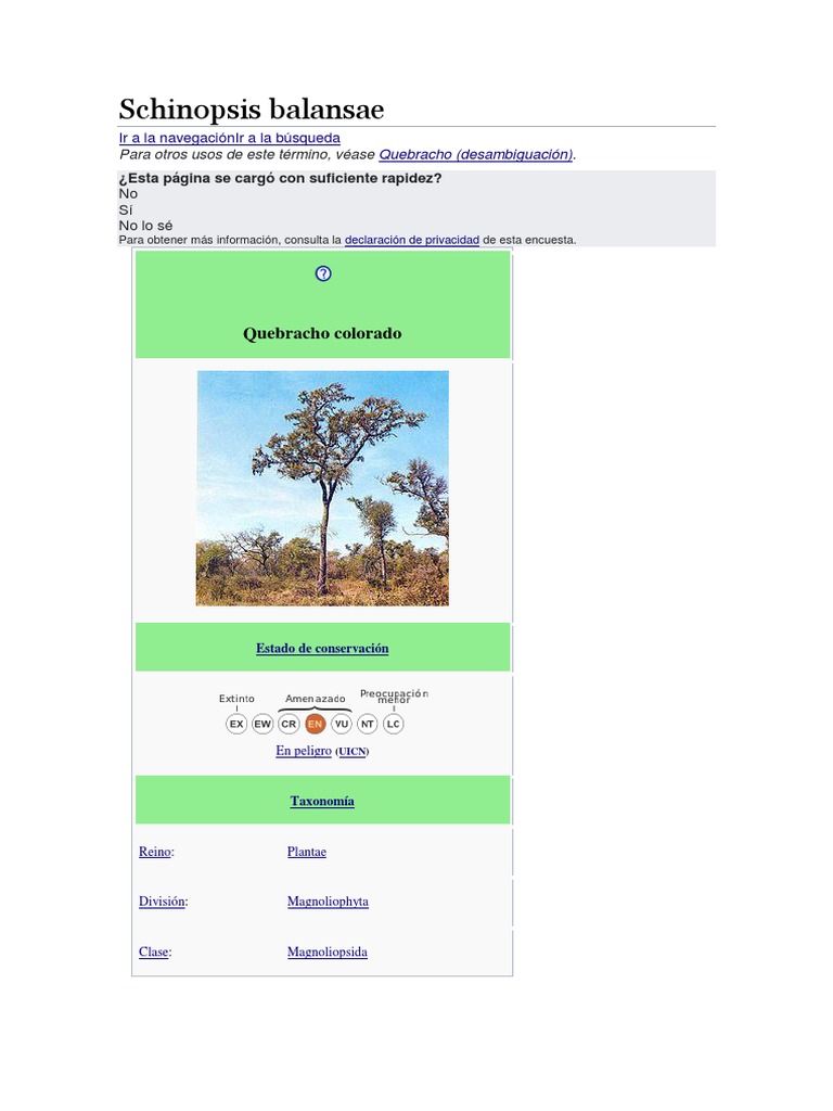 Schinopsis Balansae | PDF | Arboles | Forma de vida vegetal