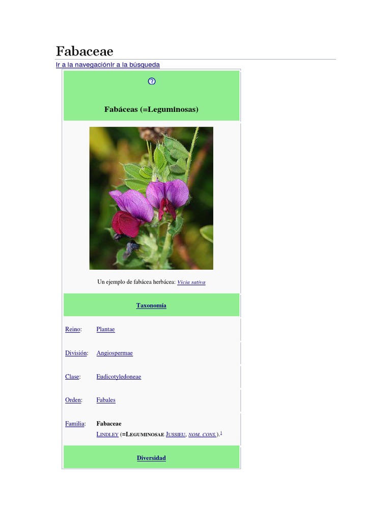 Características de la familia Fabaceae | PDF | Organismos | Ramas de la ...