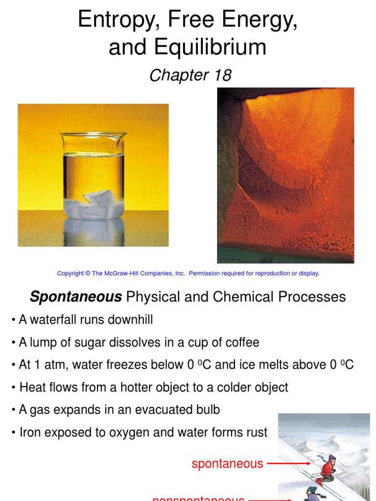 Chapter 18 Entropy Free Energy and Equilibrium | PDF | Entropy | Gibbs ...