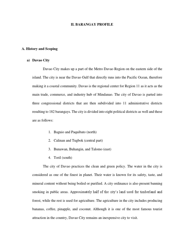 Barangay Profile | PDF