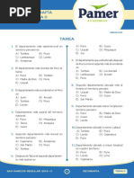 El Relieve Amazónico | PDF | Paisaje | Geomorfología