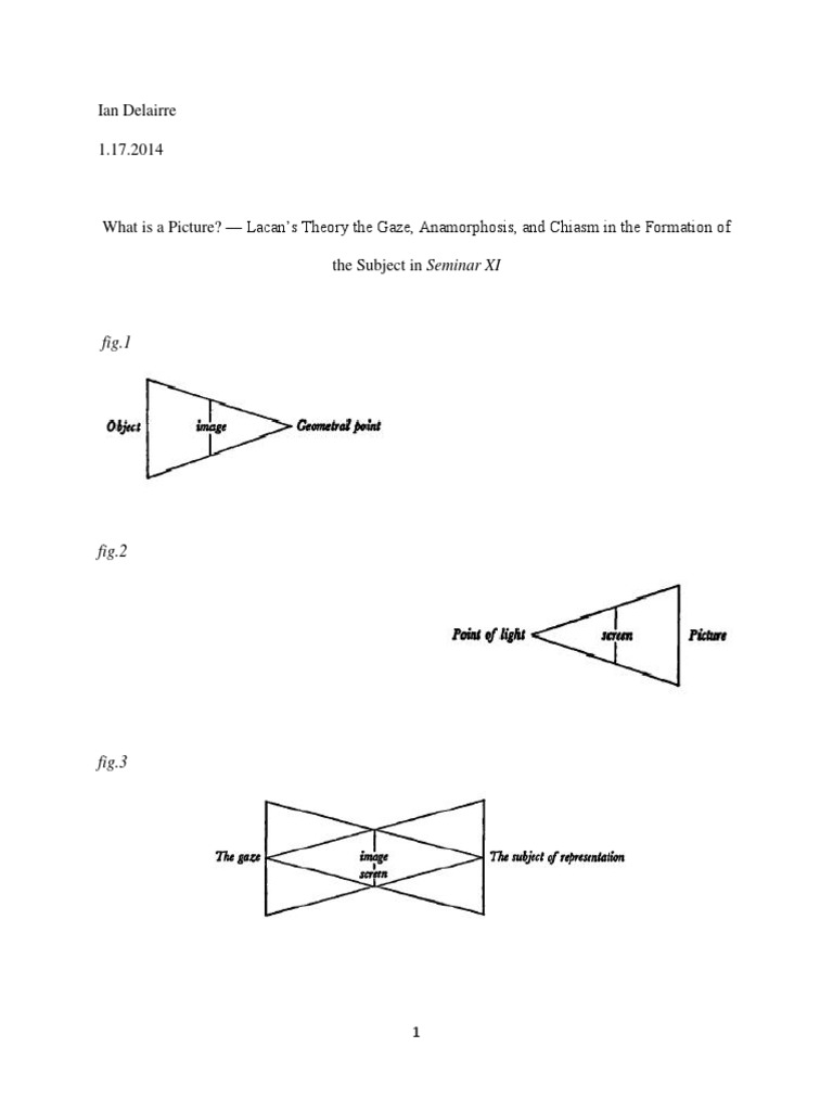 What Is A Picture The Role of Lacan S T | PDF | Jacques Lacan ...