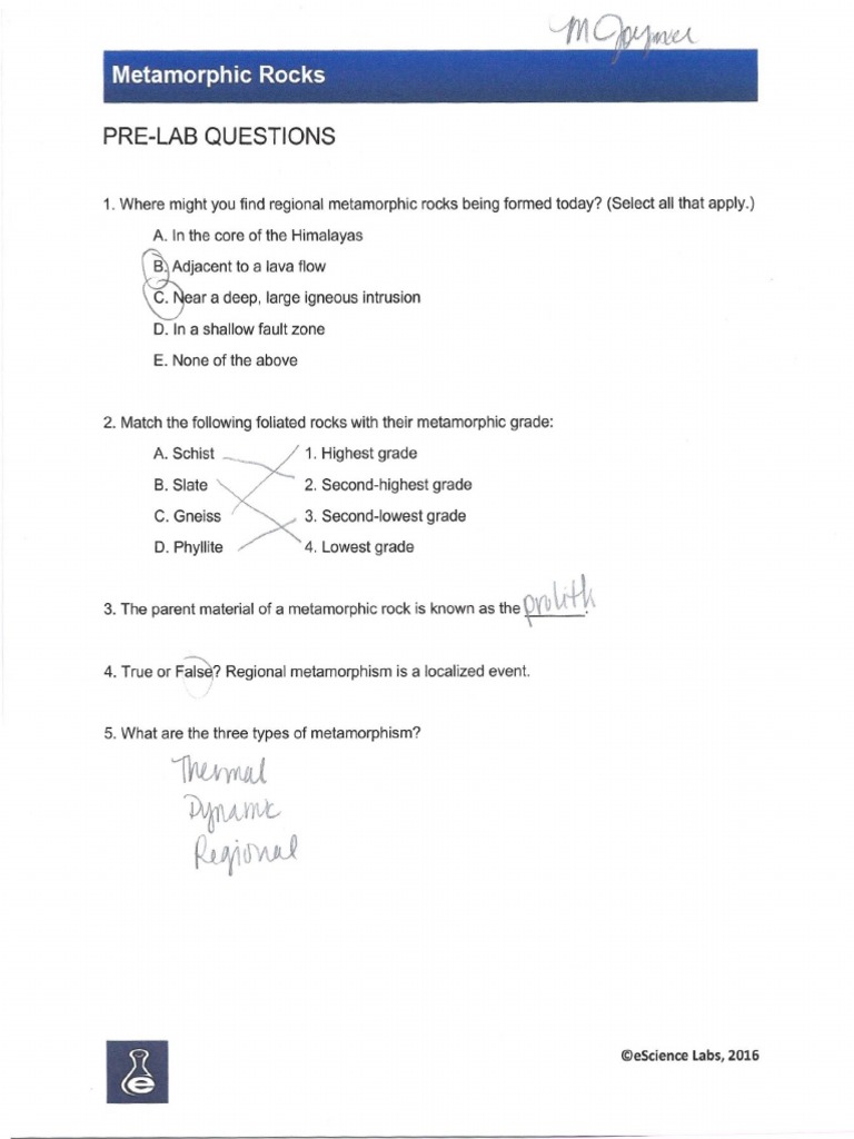 Metamorphic Rock Lab | PDF