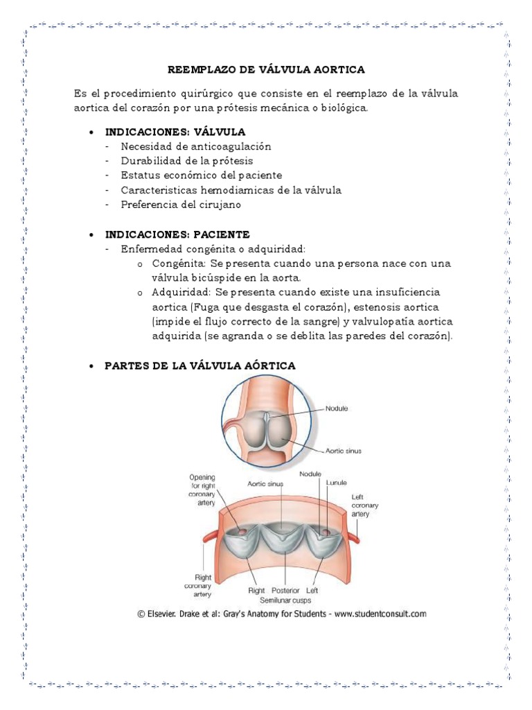 Reemplazo de Válvula Aortica | PDF | Angiología | Corazón