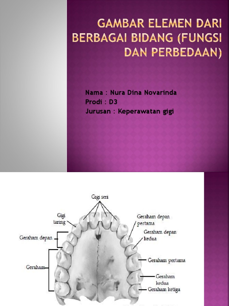 Elemen Gigi | PDF