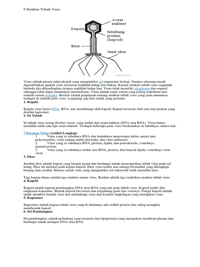 6 Struktur Tubuh Virus | PDF
