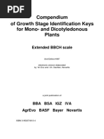 The Extended BBCH-scale | PDF | Seed | Germination