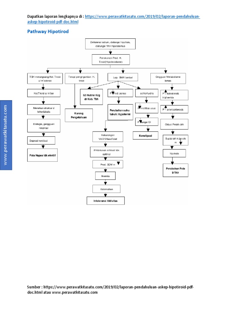 Pathway Hipotirod | PDF