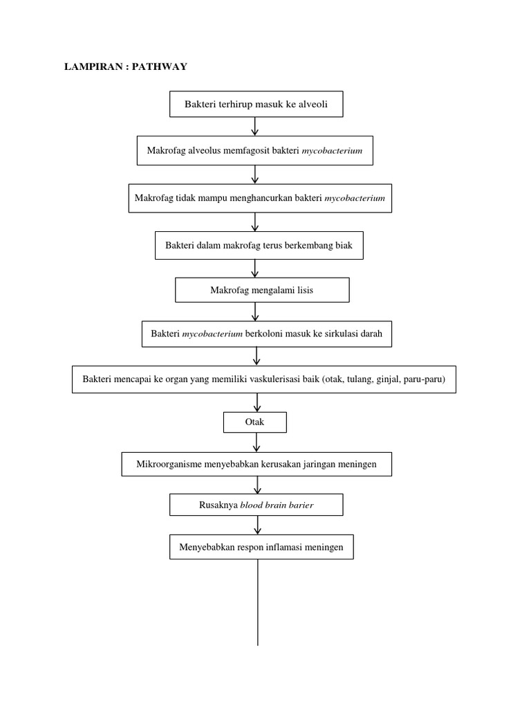 Pathway Tuberkulosis Tulang | PDF
