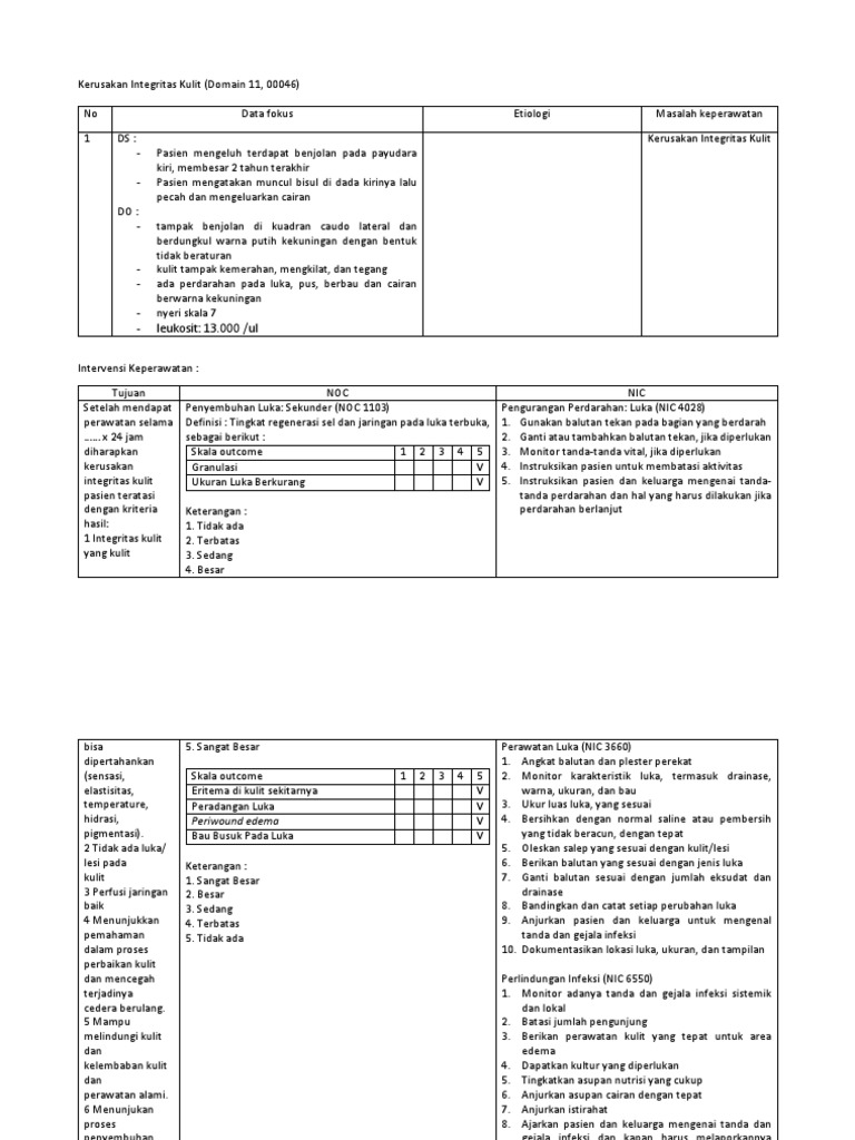 Kerusakan Integritas Kulit | PDF