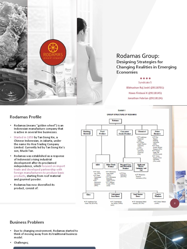 Rodamas Group: Strategies for Growth | PDF | Internationalization ...