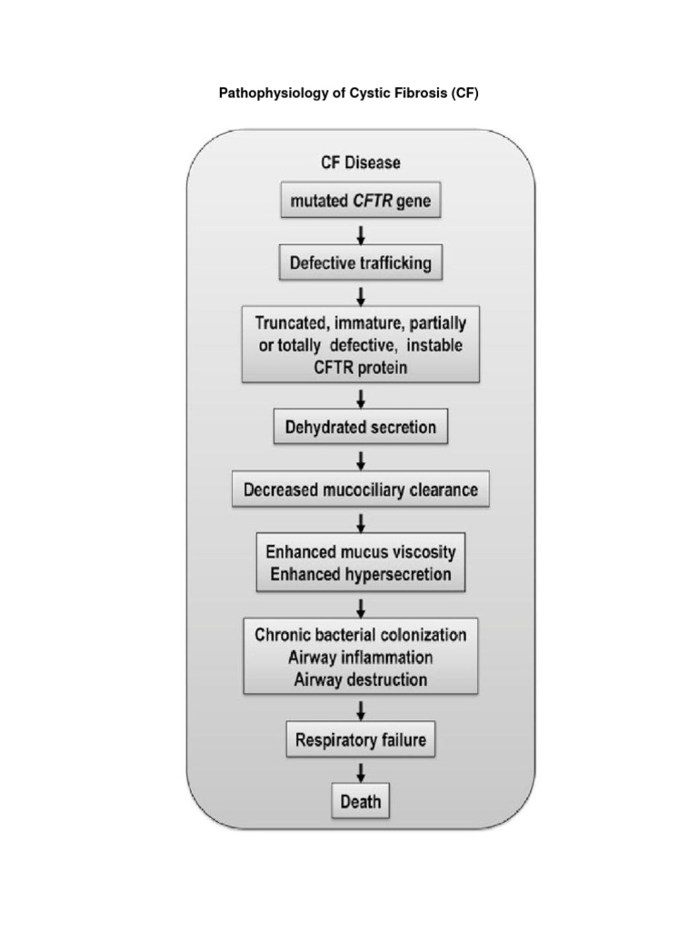 Pathophysiology of Cystic Fibrosis | PDF