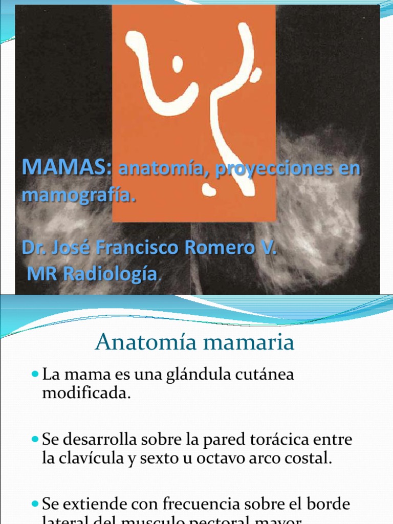 Presentacion Mamas Anatomia HBC | PDF | Pecho | Anatomía humana