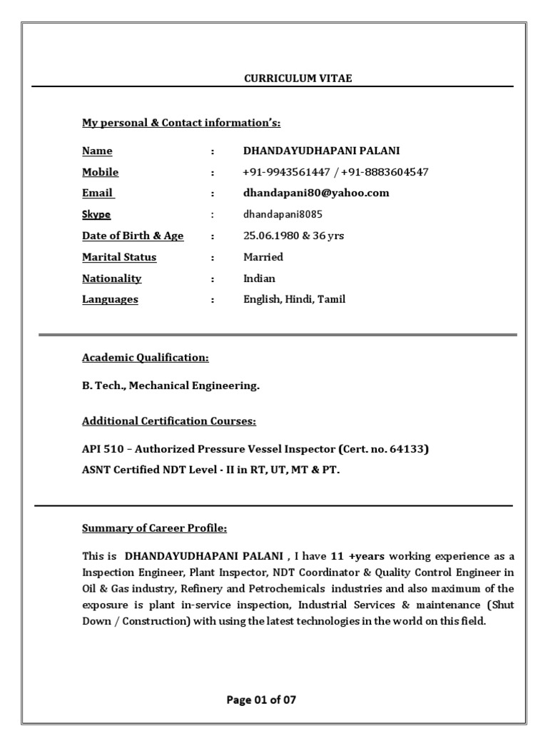 Plant Inspector CV. | PDF | Nondestructive Testing | Boiler
