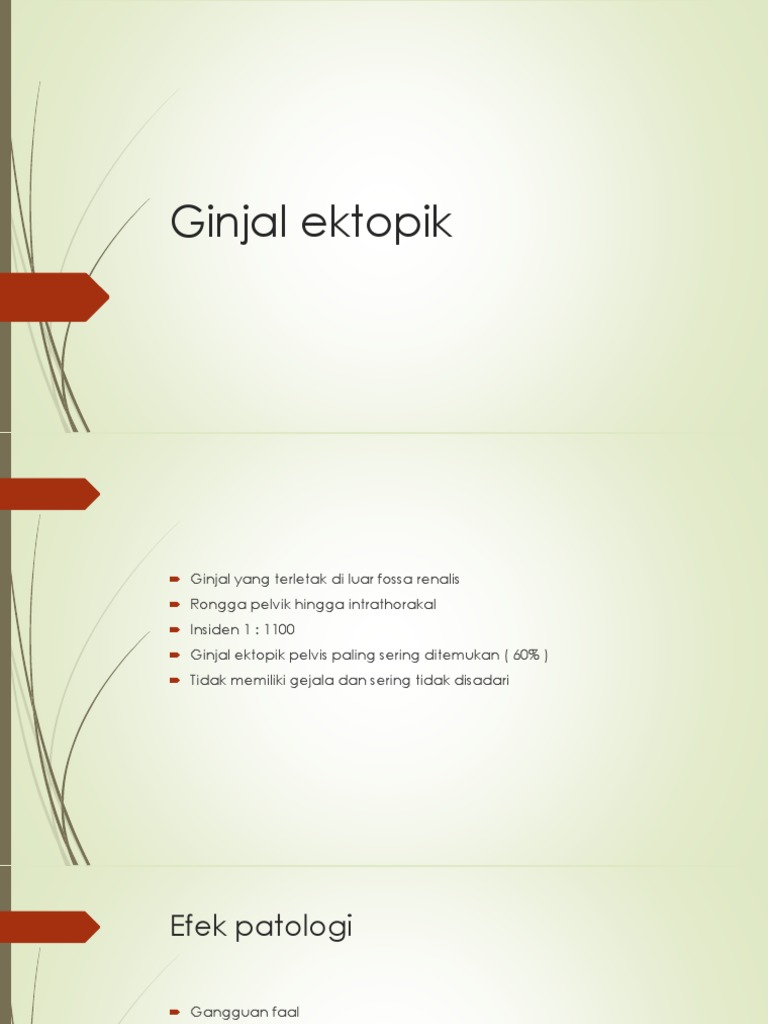 Ginjal Ektopik | PDF