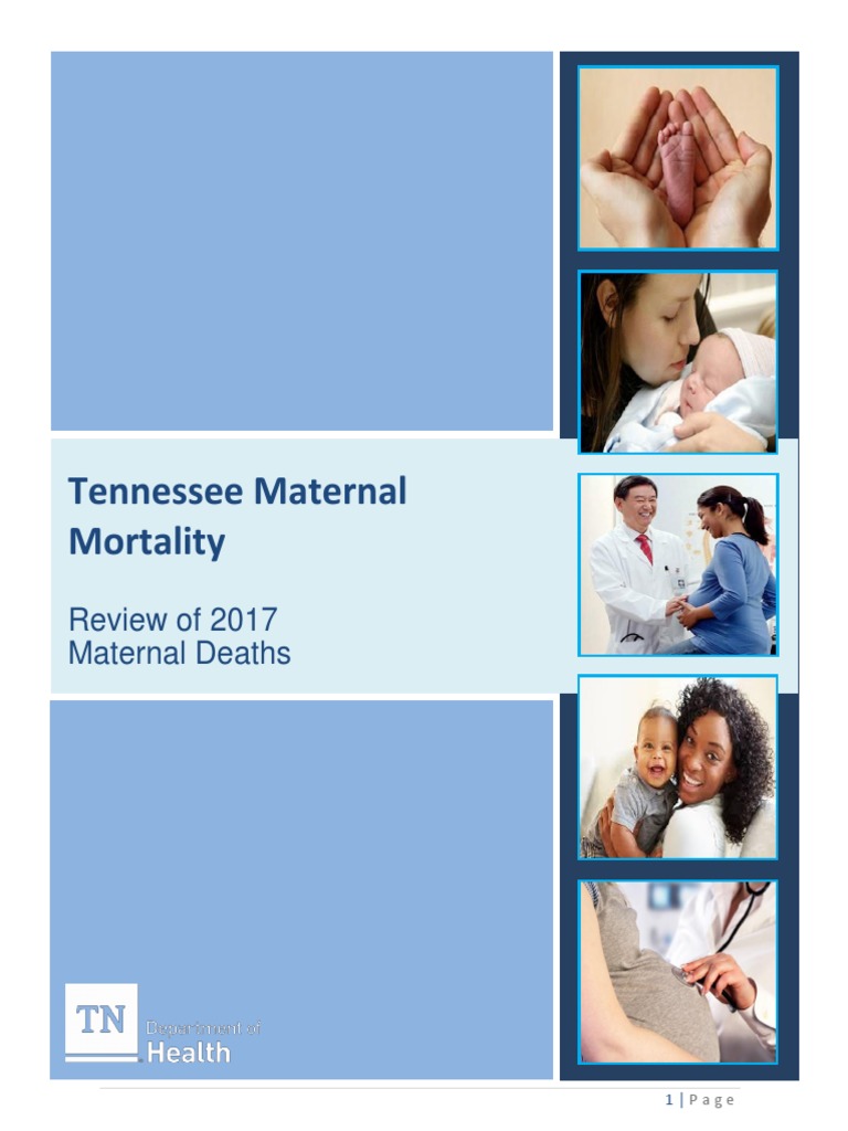 MMR Annual Report 2017 | PDF | Maternal Death | Maternal Health