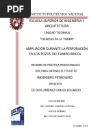 WellPlan Software DATASHEET A4.en - Es | PDF | Usuario (informática ...