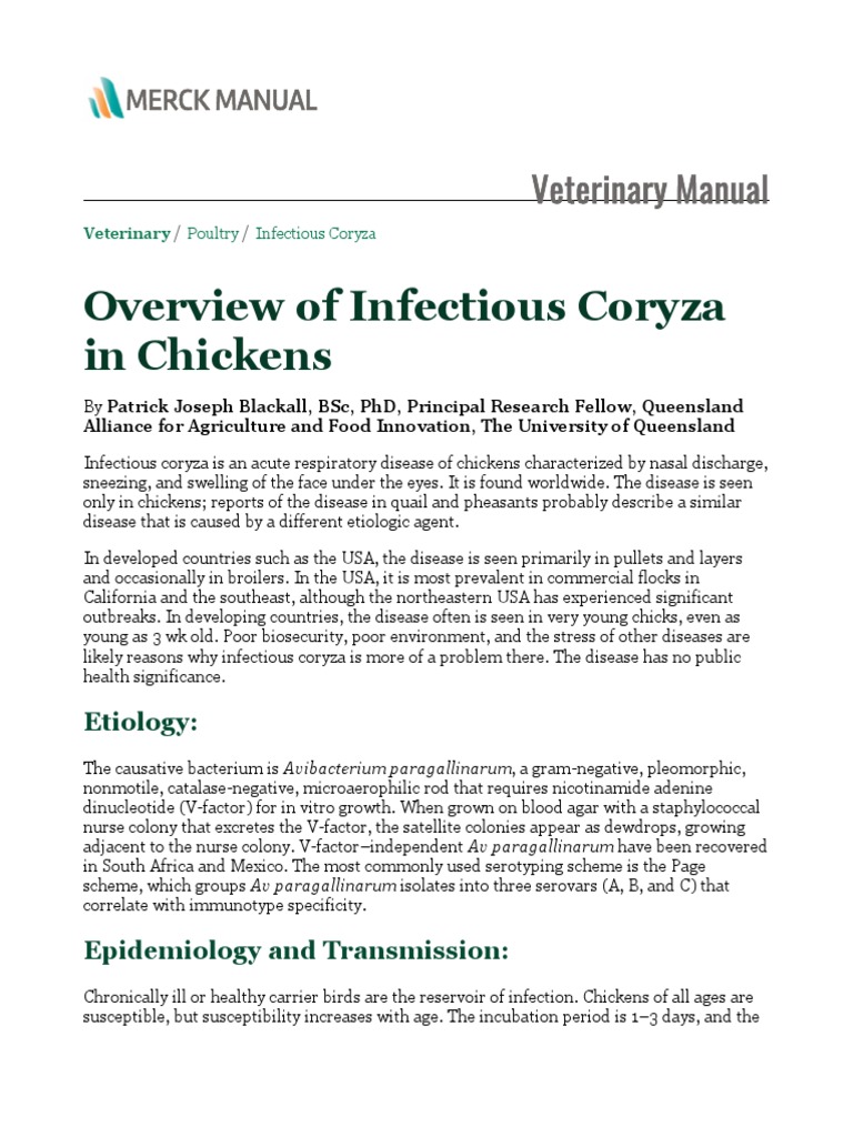 Overview of Infectious Coryza in Chickens - Poultry - Merck Vet | PDF ...