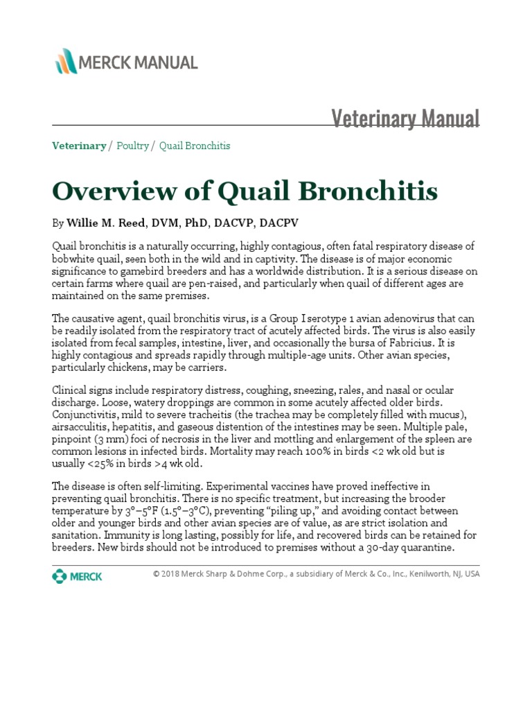Overview of Quail Bronchitis - Poultry - Merck Veterinary Manua | PDF