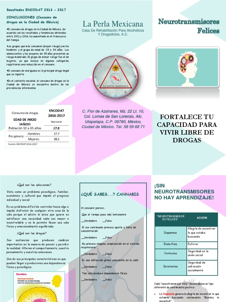 Triptico Qué Son Las Adicciones | PDF | Sensación | Drogas