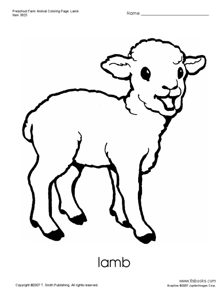 Name - : Preschool Farm Animal Coloring Page: Lamb Item 3825 | PDF