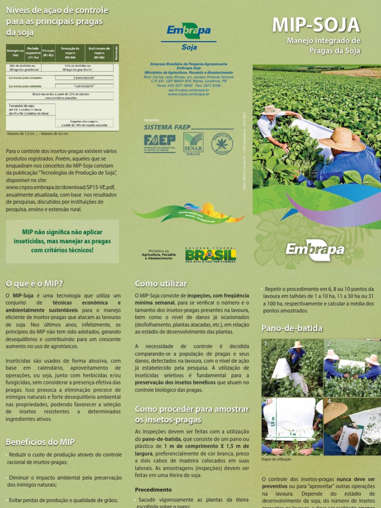 Mip Soja | PDF | Inseticida | Soja