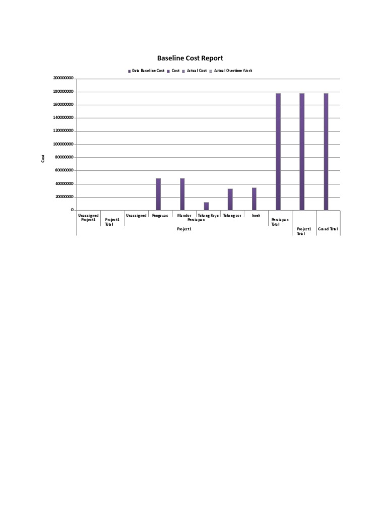 Baseline Cost Report | PDF
