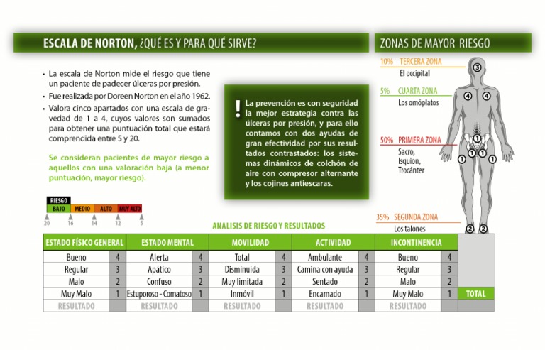 Escala-De Norton PDF | PDF