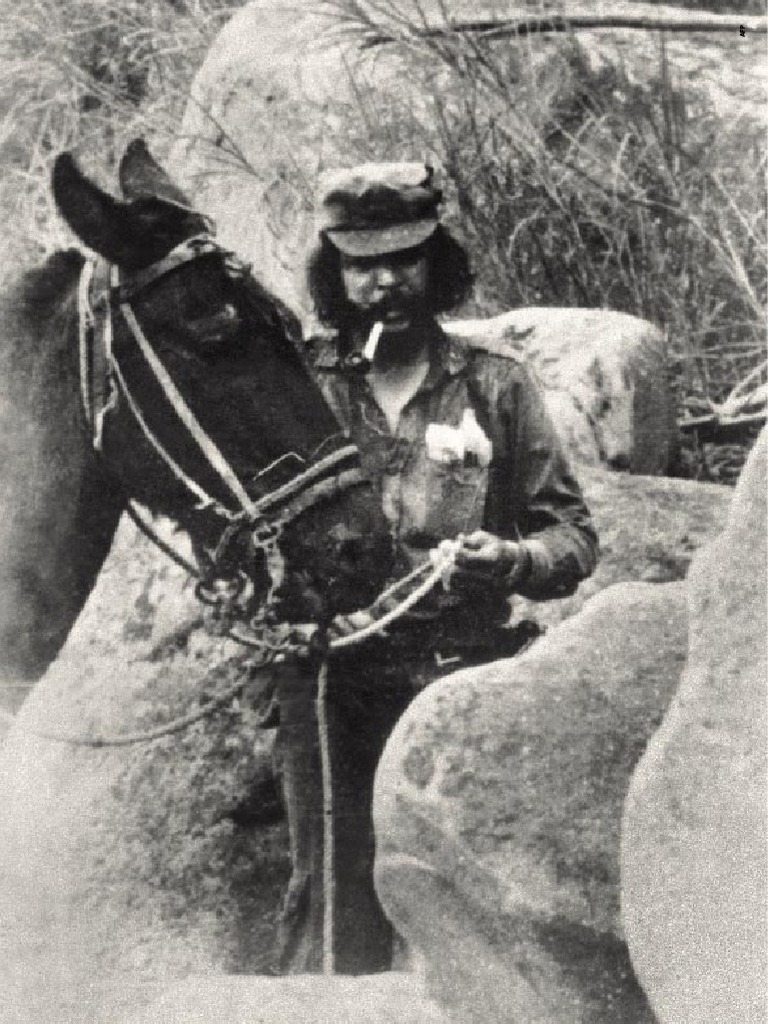 DESENTERRANDO AL CHE Douglas Duerte PDF | PDF | Che Guevara | Bolivia