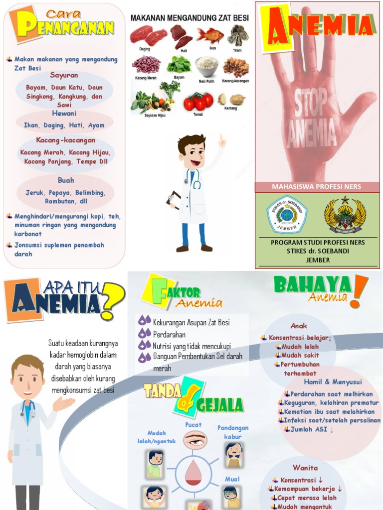 Leaflet Anemia | PDF