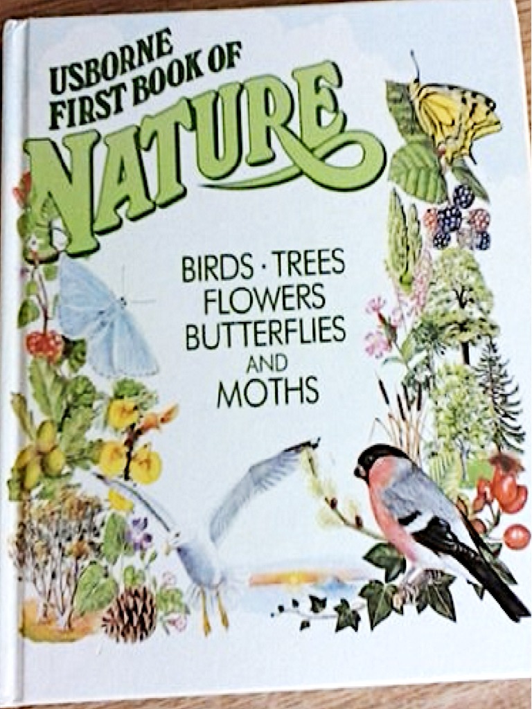 Usborne First Book of Nature PDF | PDF