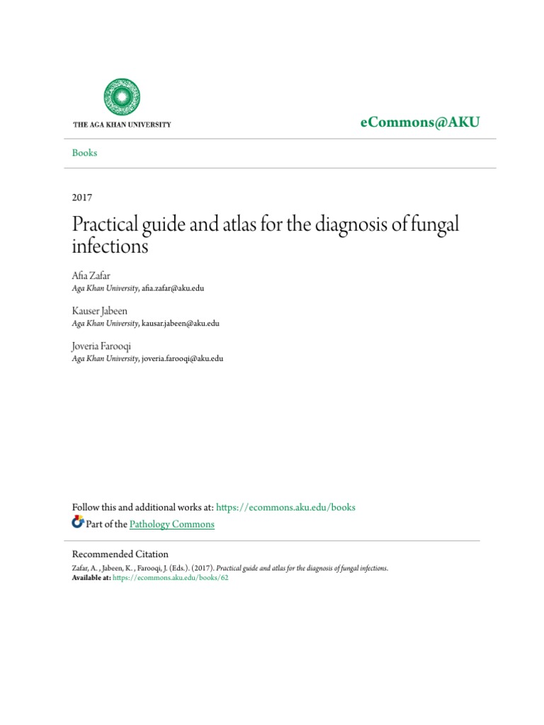 Practical Guide and Atlas For The Diagnosis of Fungal Infections | PDF ...