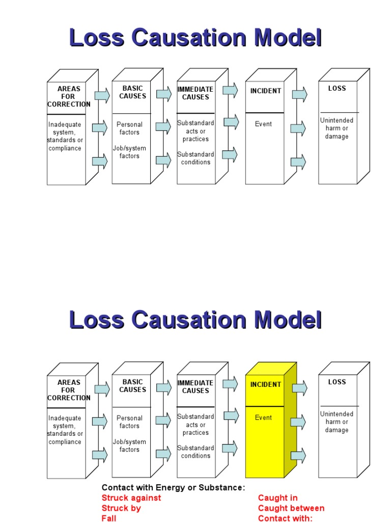 Loss Causation Model | PDF | Substance Abuse | Health Sciences
