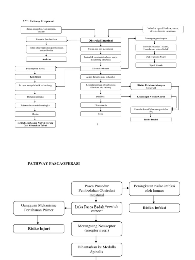 Pathway Obstruksi Intestinal | PDF