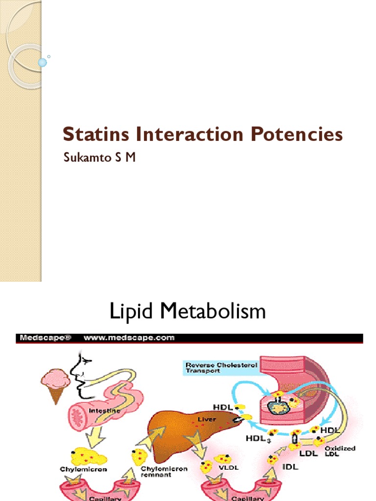 3 Drug Interaction Statins | PDF | Statin | Drugs