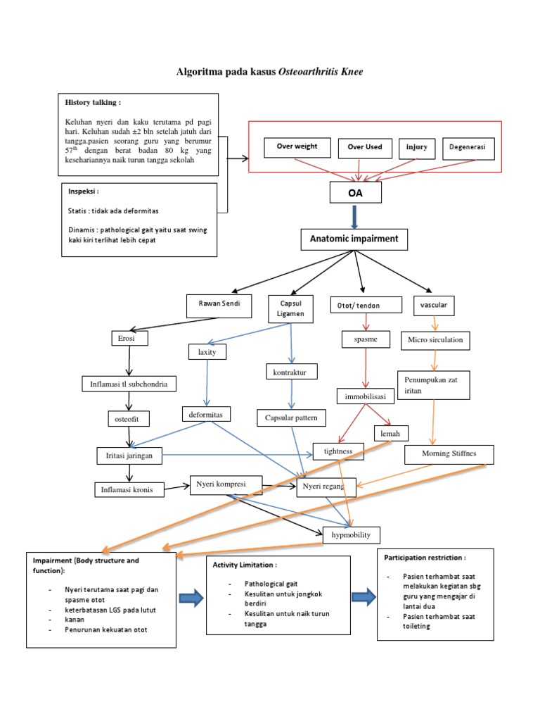 Algoritma Terapi Osteoarthritis Lutut | PDF