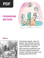 Who Labour Care Guide | PDF | Childbirth | Causes Of Death