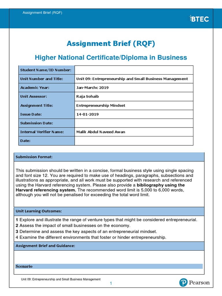 Assignment Brief Unit 9 E&SBM | PDF | Entrepreneurship | Small Business